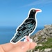 Cornwall Map Sticker Cornwall Map Vinyl Sticker Cornwall Stickers ...