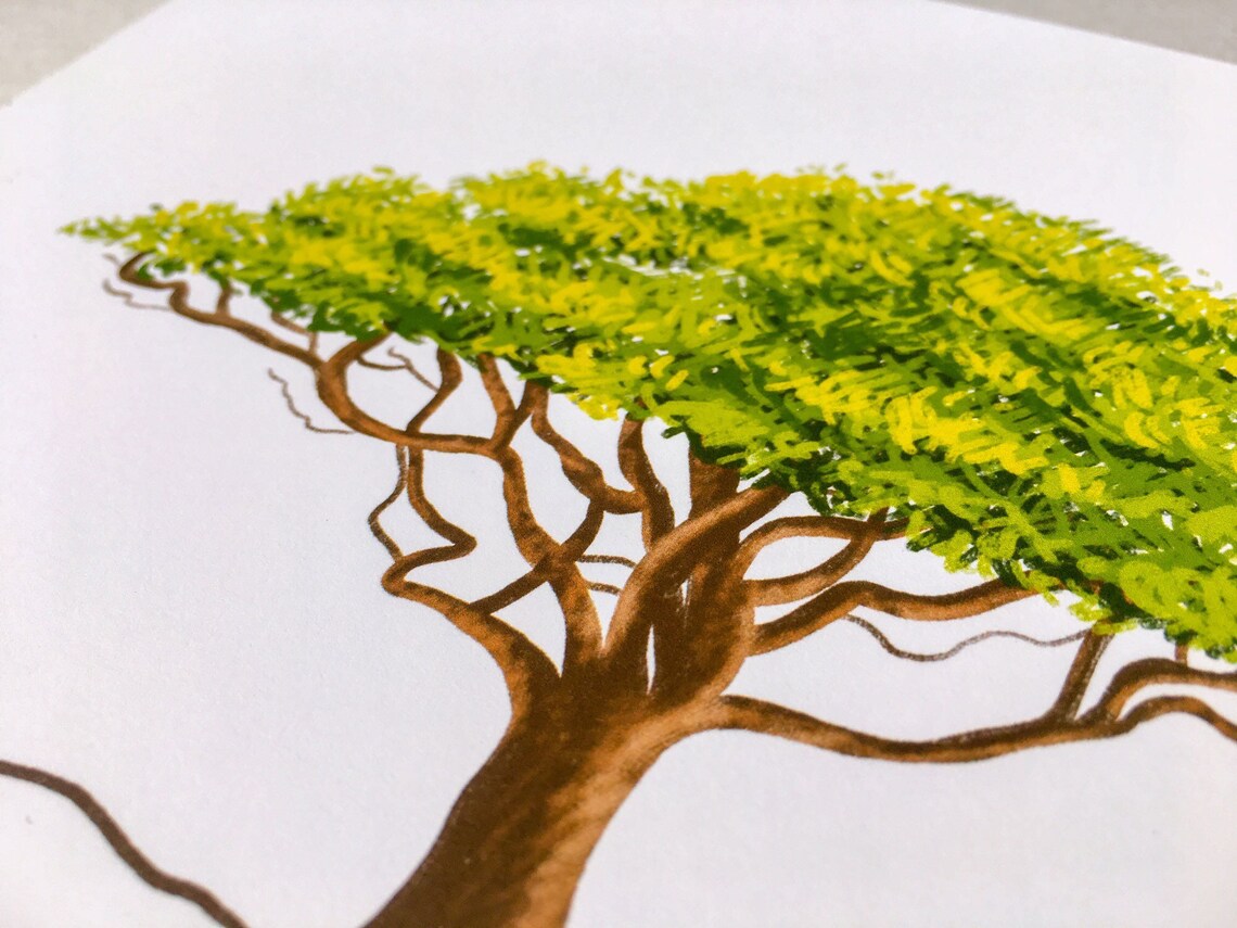 Acacia Tree Art Print | Nature Home Decor | Botanical Wall Art ...