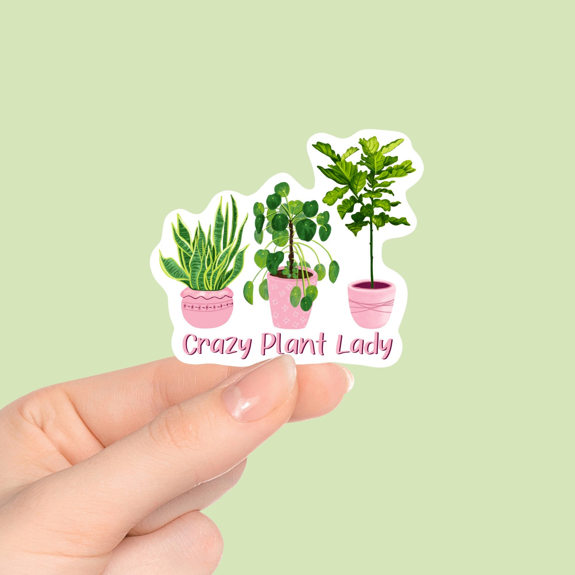 Crazy Plant Lady Sticker Houseplant Sticker Stickers - Etsy