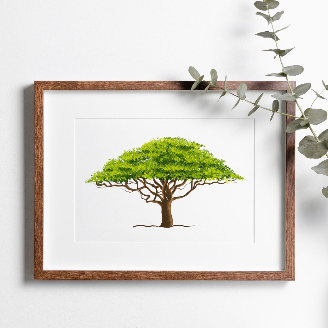 Acacia Tree Art Print | Nature Home Decor | Botanical Wall Art ...