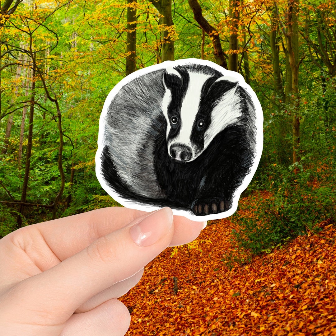 Badger Sticker | Glossy Vinyl Illustrated Woodland Creatures Sticker ...