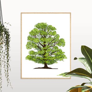 Elm Tree Art Print, Botanical Home Decor Gallery Wall Art, Nature ...