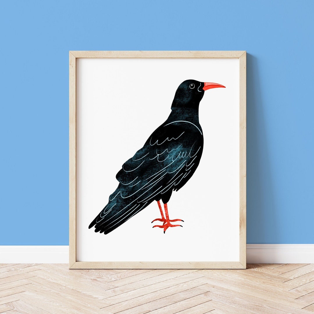 Cornish Chough Print, Cornwall Print, Cornish Chough Illustration, Bird ...