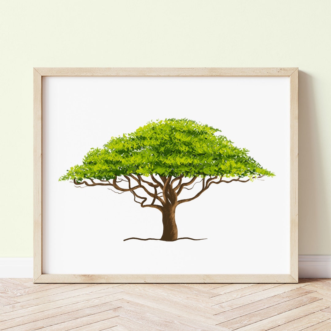 Acacia Tree Art Print | Nature Home Decor | Botanical Wall Art ...