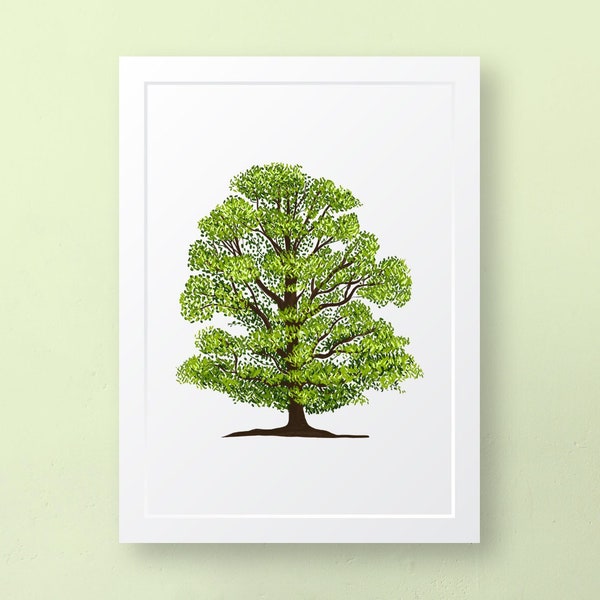 Elm Tree - Etsy