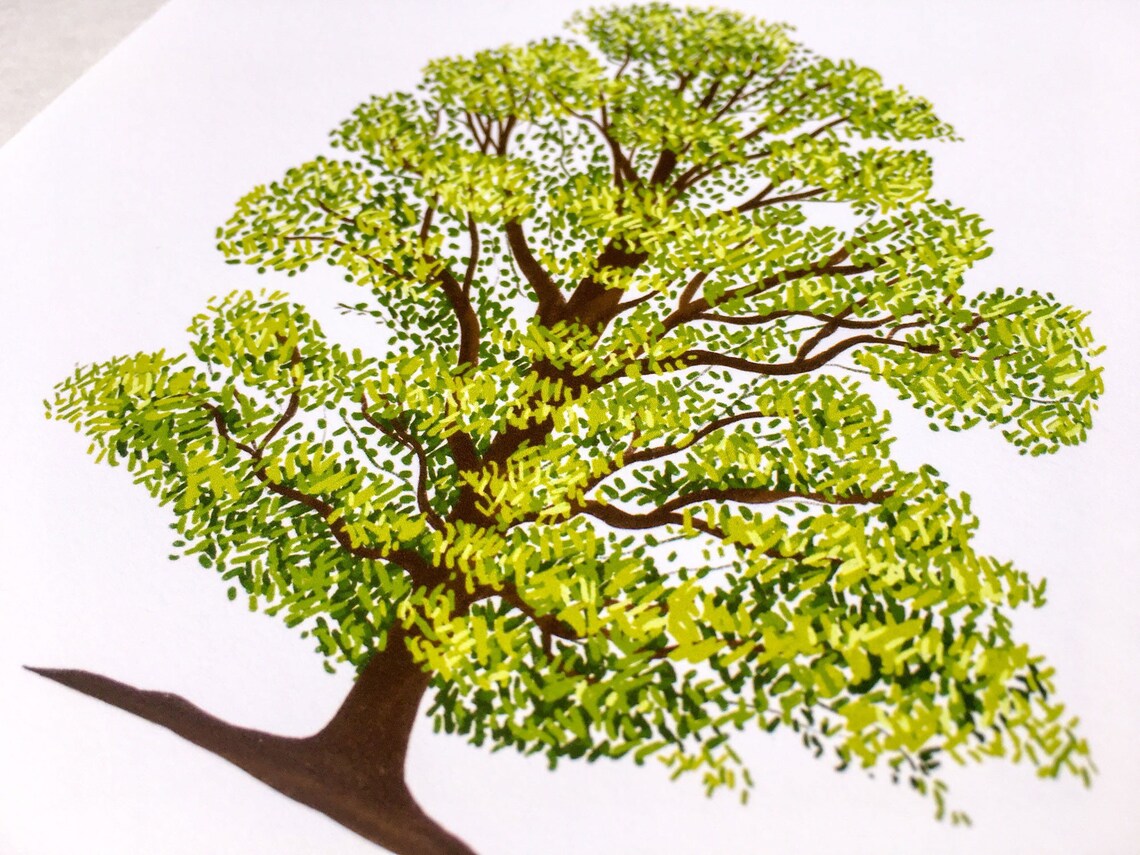 Elm Tree Botanical Print Tree Art Print Tree Wall Art - Etsy