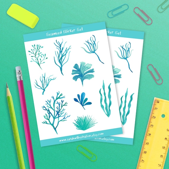 Watercolour Seaweed Sticker Sheet Ocean Stickers Coastal - Etsy