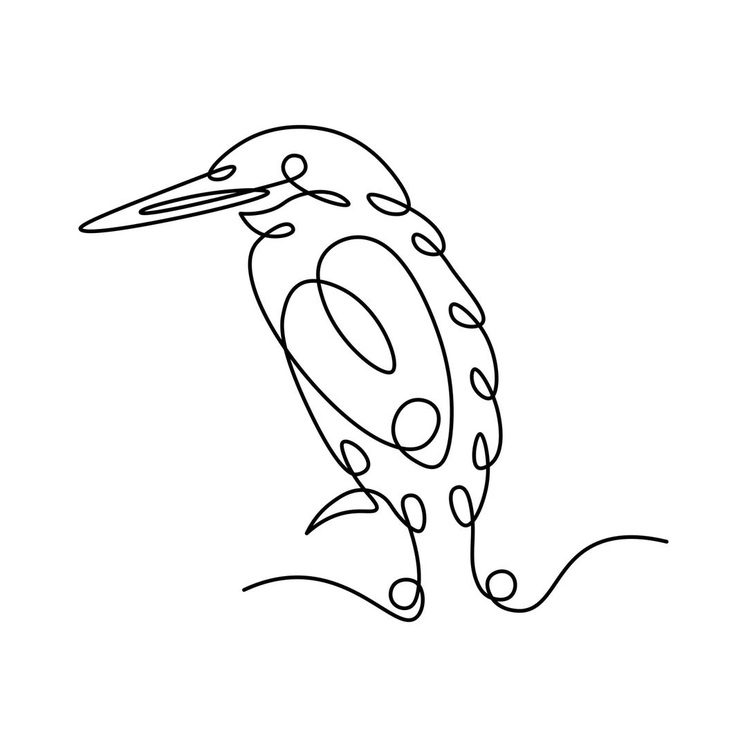 Vector Bird Continuous Line Art Animation Video, on a White Background ...