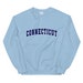 Connecticut Varsity Letter Unisex Crewneck Sweatshirt - Etsy
