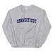 Connecticut Varsity Letter Unisex Crewneck Sweatshirt - Etsy