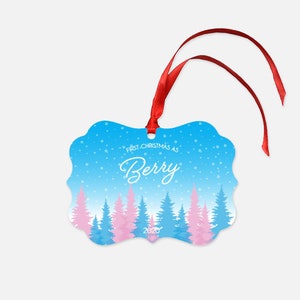 Transgender Christmas Ornament, Trans Name Change, Trans Flag FTM MTF ...