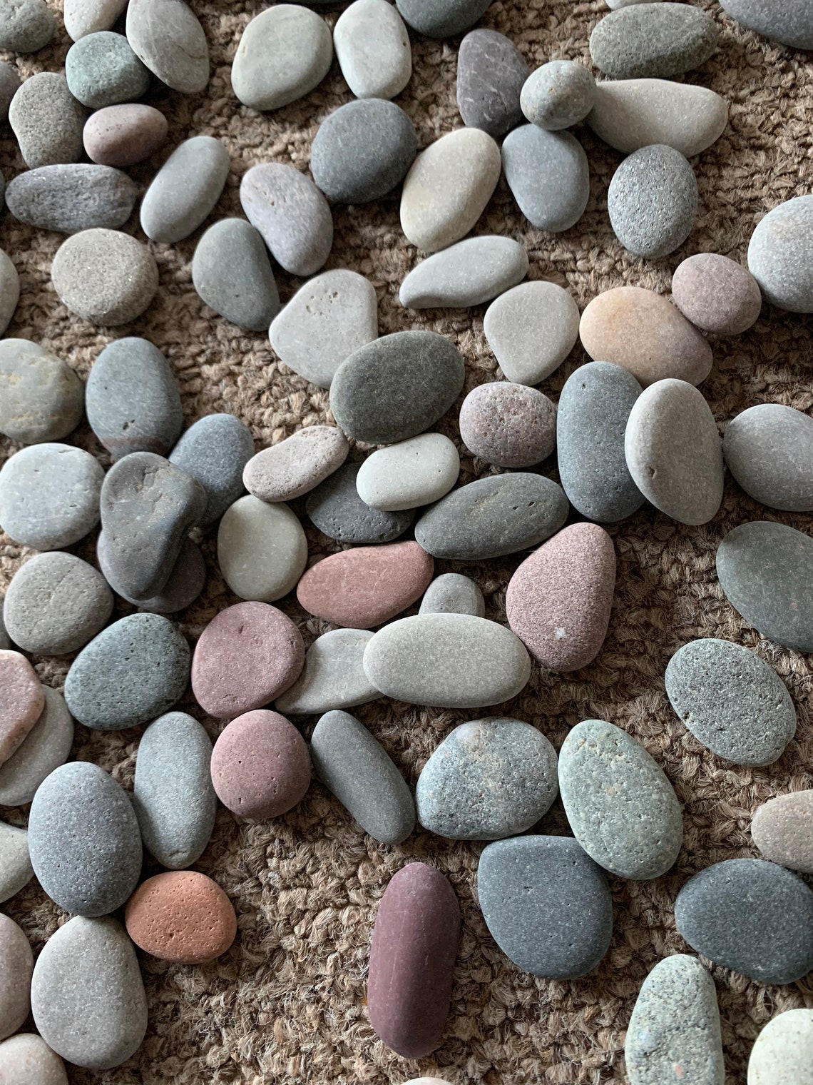 Robin Pebble Picture Robins Appear When Loved Ones Are Near - Etsy UK