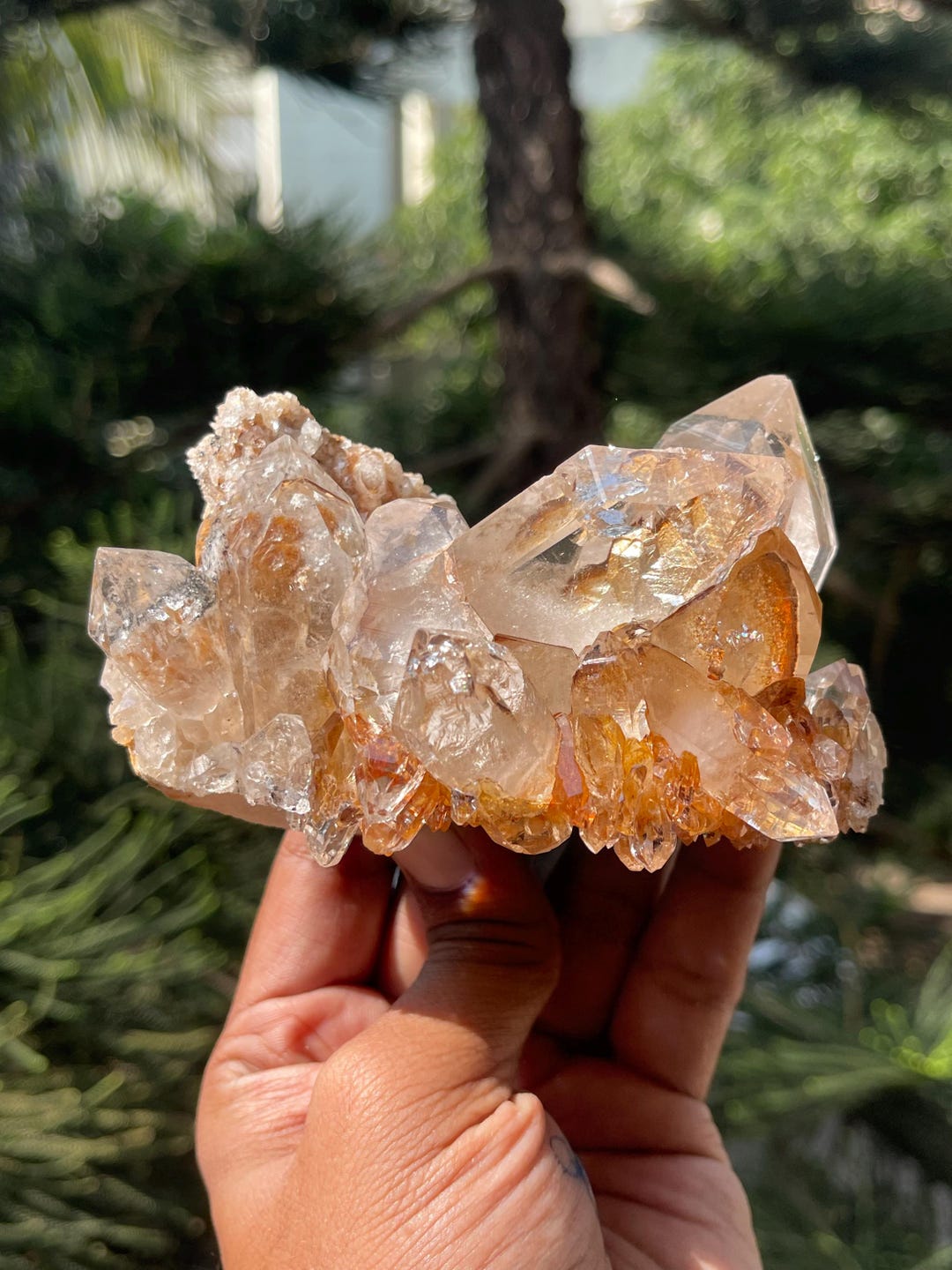 Rare Golden Himalayan Quartz Cluster With Natural Glow and Rare ...