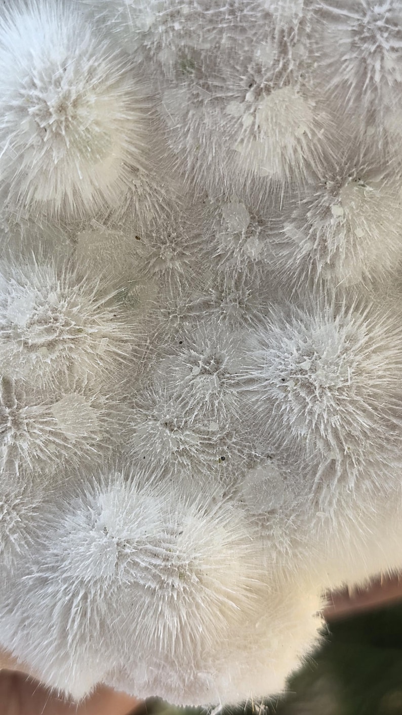 Okenite Puffy Balls With White Calcite - Etsy