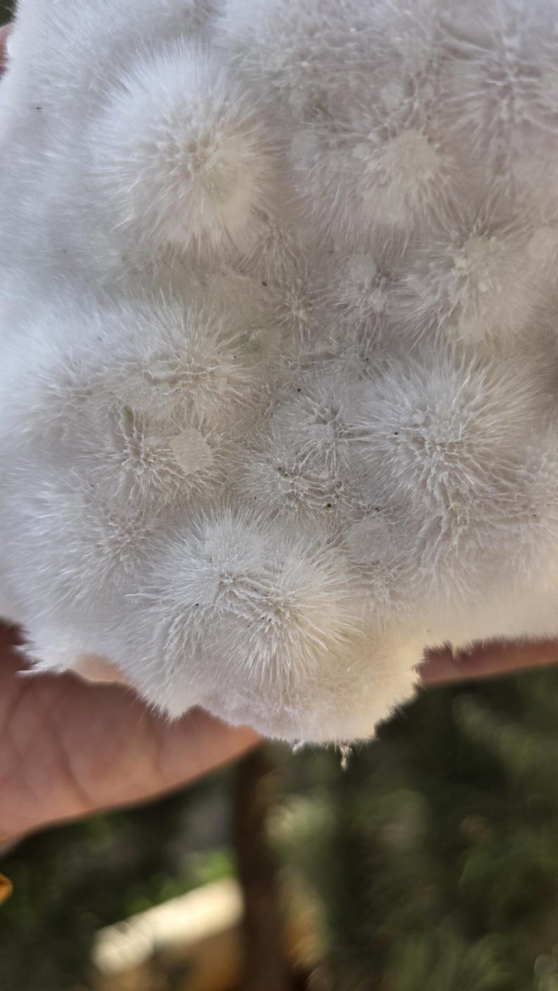 Okenite Puffy Balls With White Calcite - Etsy