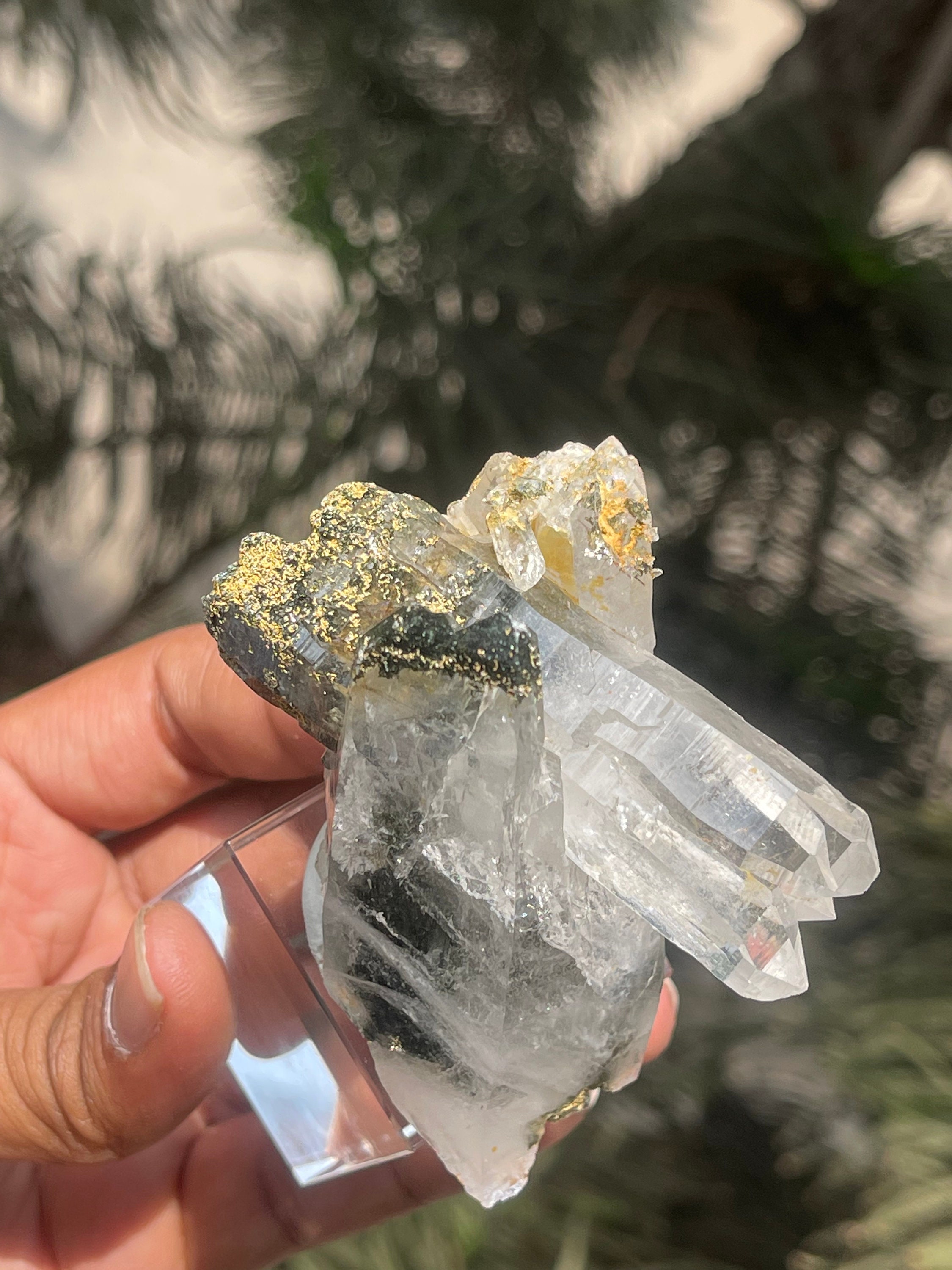 Rare Formation of Himalayan Quartz Crystal - Etsy