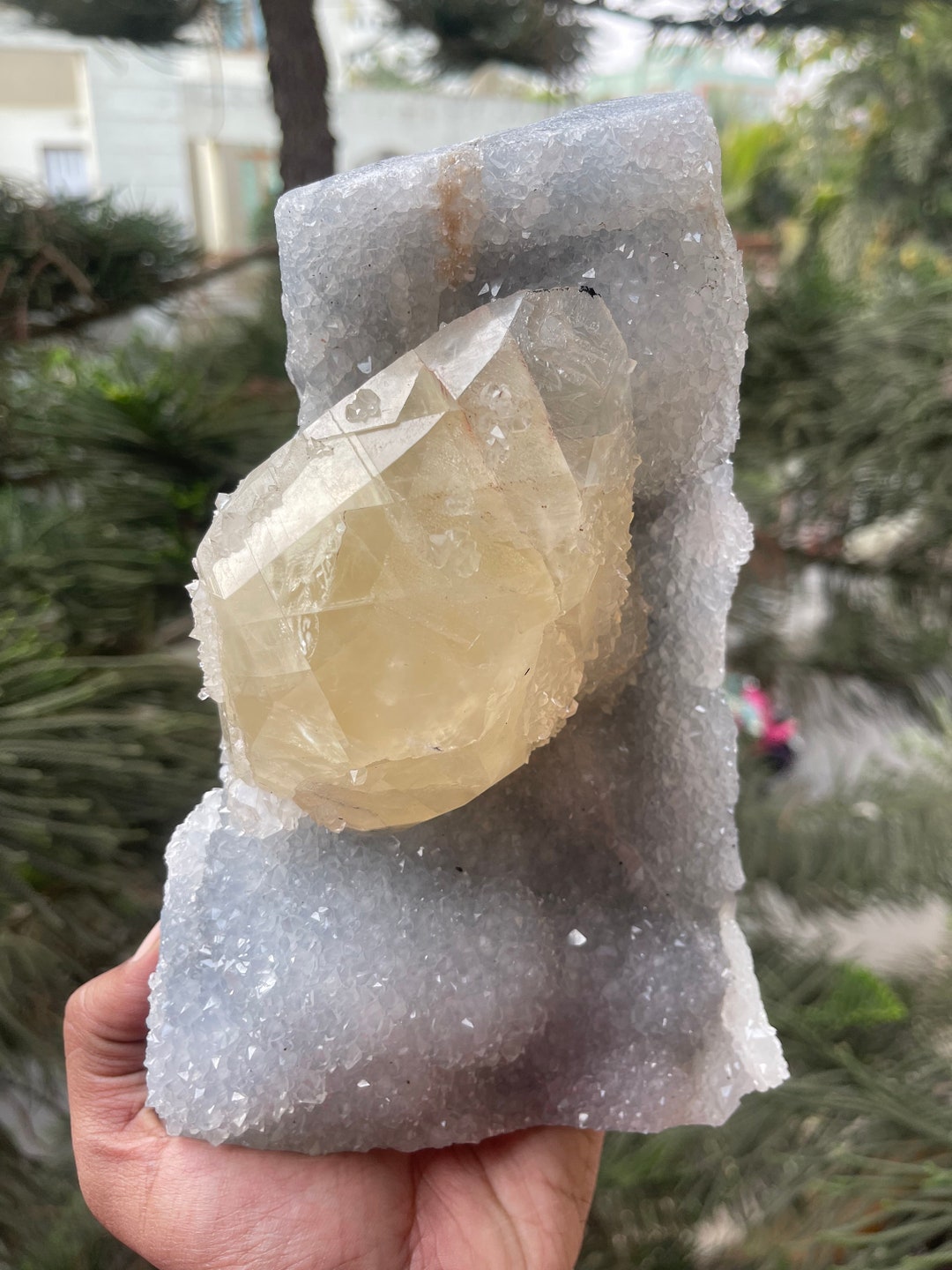 Rare Specimen Natural Formation of Golden Calcite on Blue Quartz Base ...