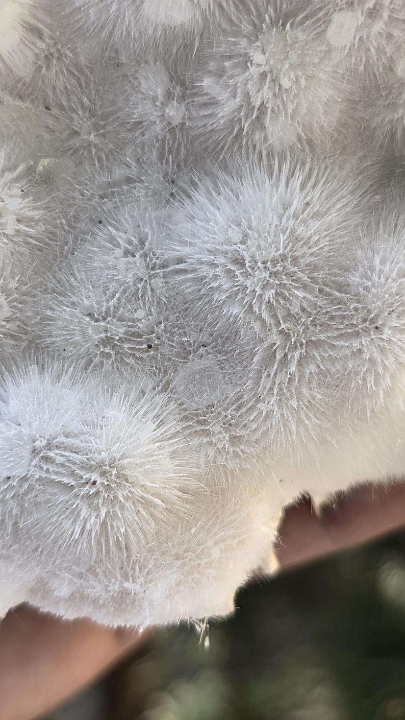 Okenite Puffy Balls With White Calcite - Etsy