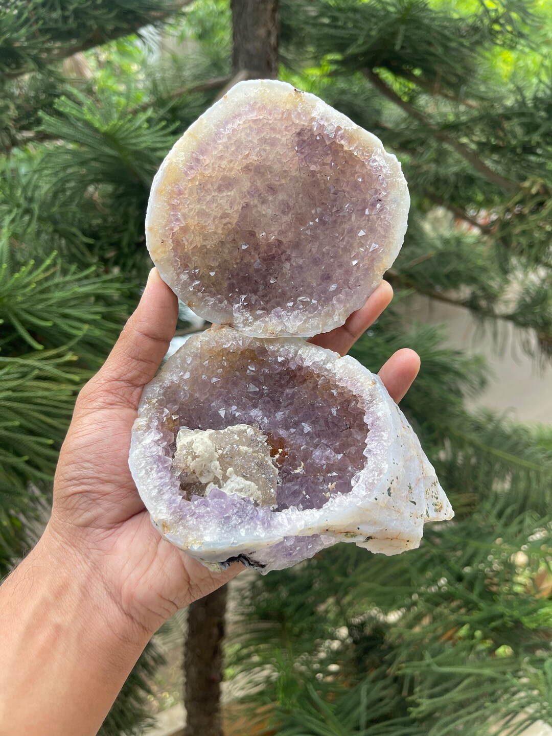 Amethyst Geodes Inside Calcite Crystal Natural Specimen - Etsy