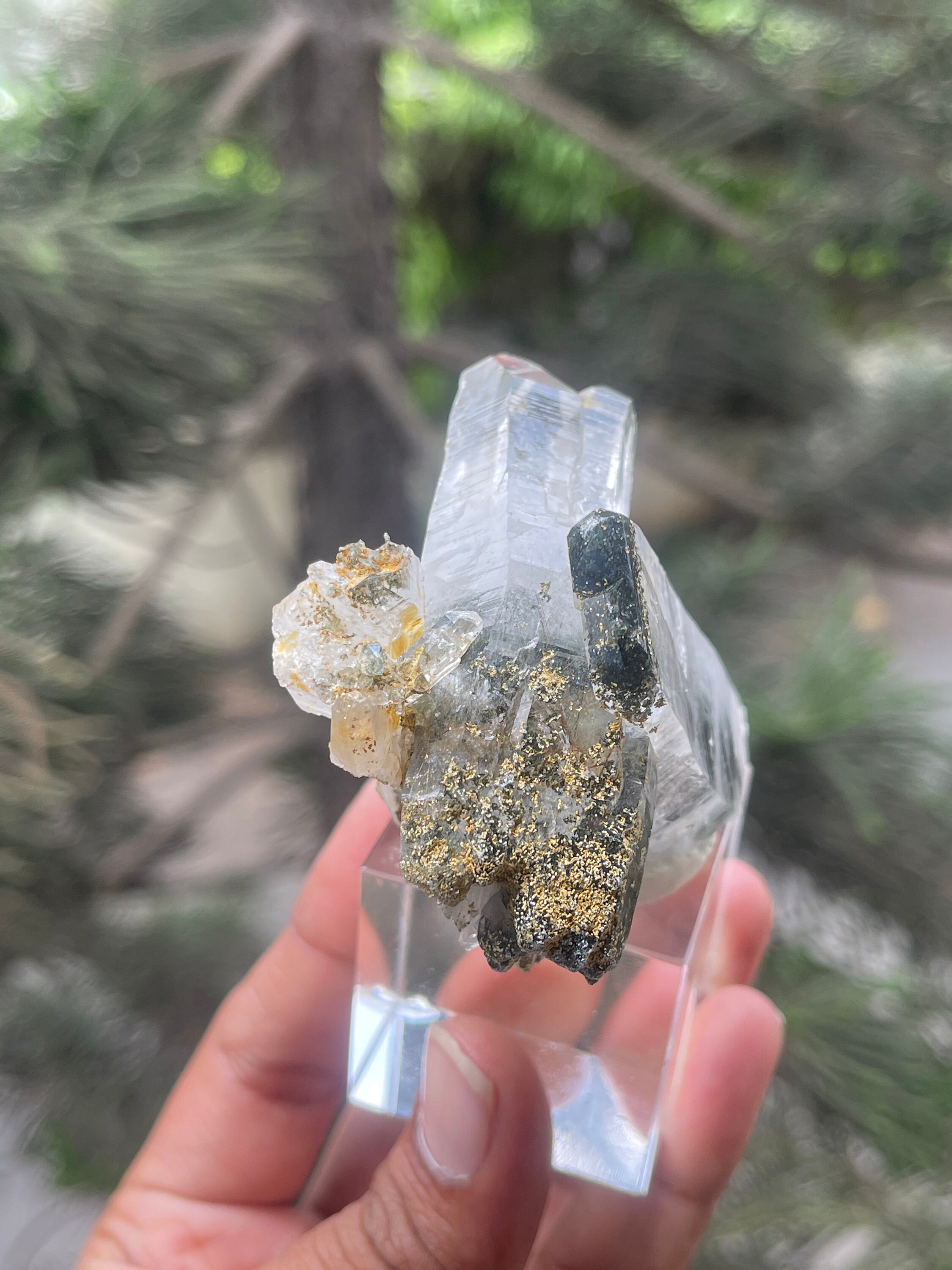 Rare Formation of Himalayan Quartz Crystal - Etsy