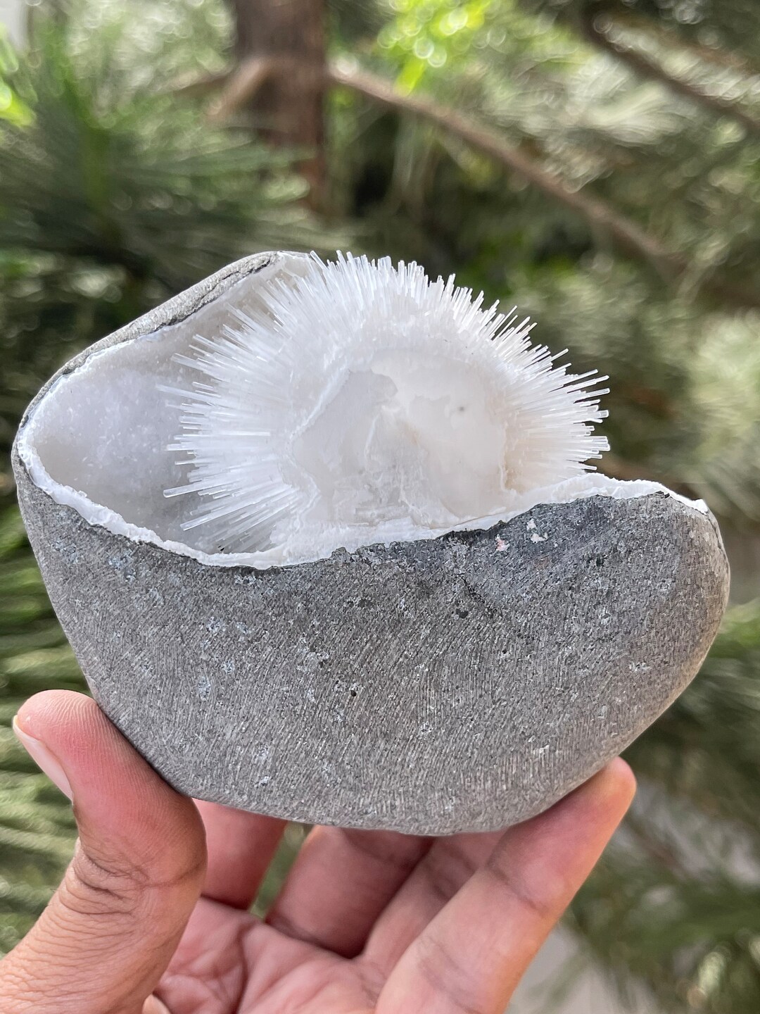 Scolecite Flower Quartz Geode, Natural Mineral Specimen - Etsy
