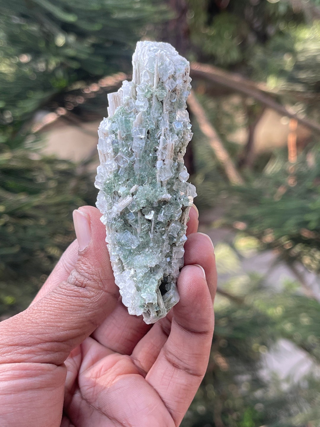 Rare Formation Green Apophyllite Crystal on Scolecite Spray - Etsy