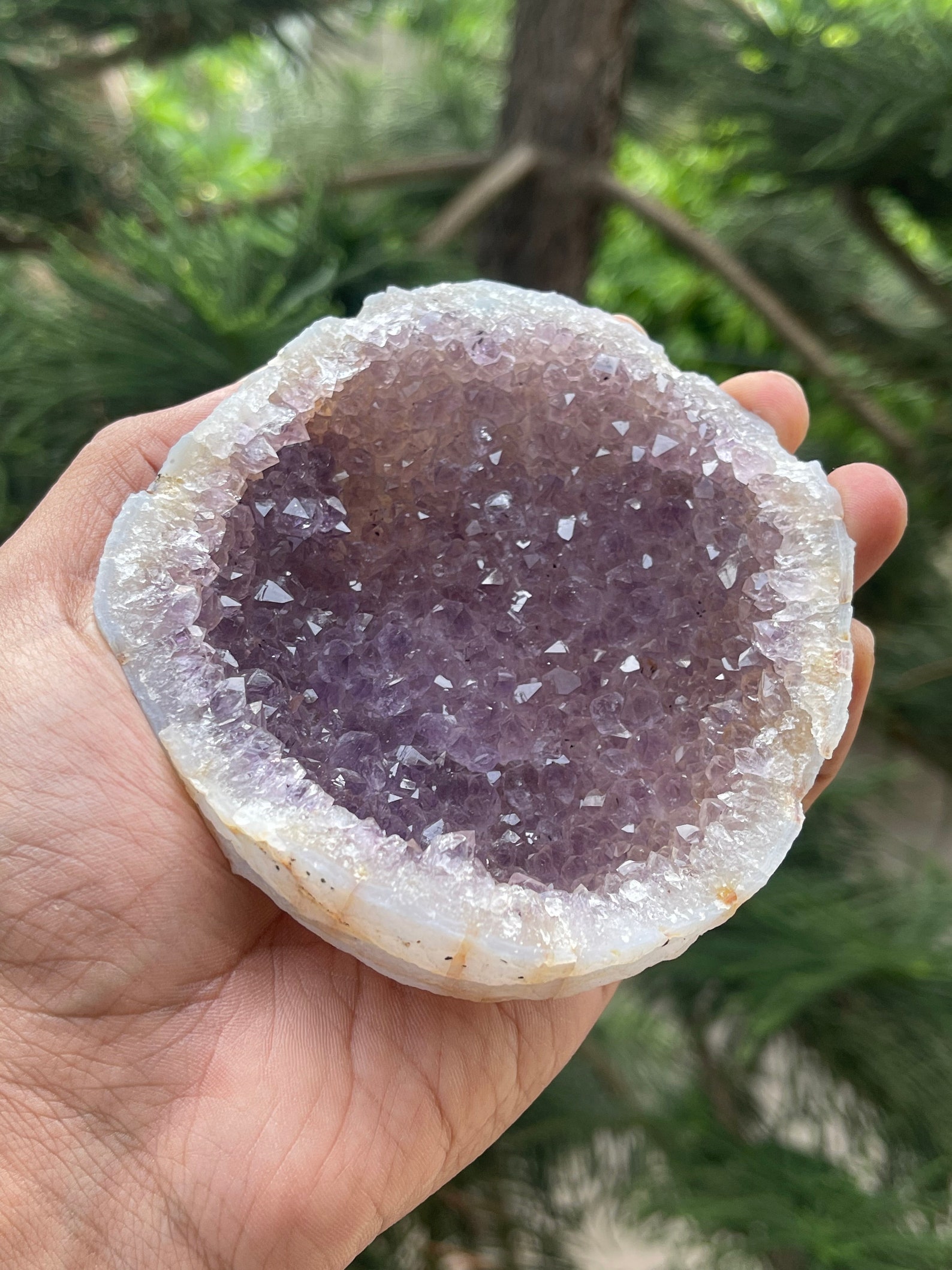Amethyst Geodes Inside Calcite Crystal Natural Specimen - Etsy