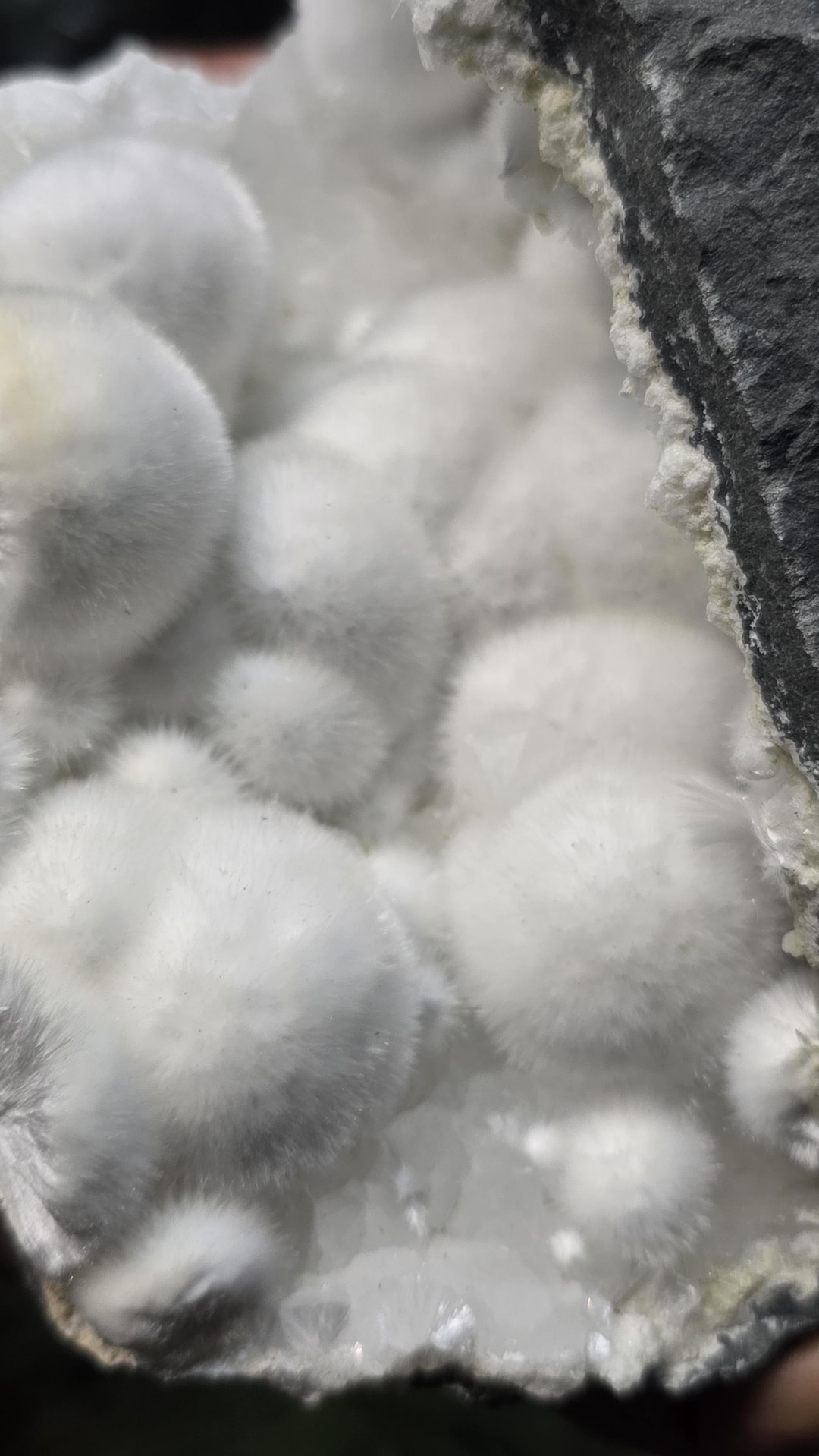 Multiple Okenite Puffballs Inside Geode - Etsy