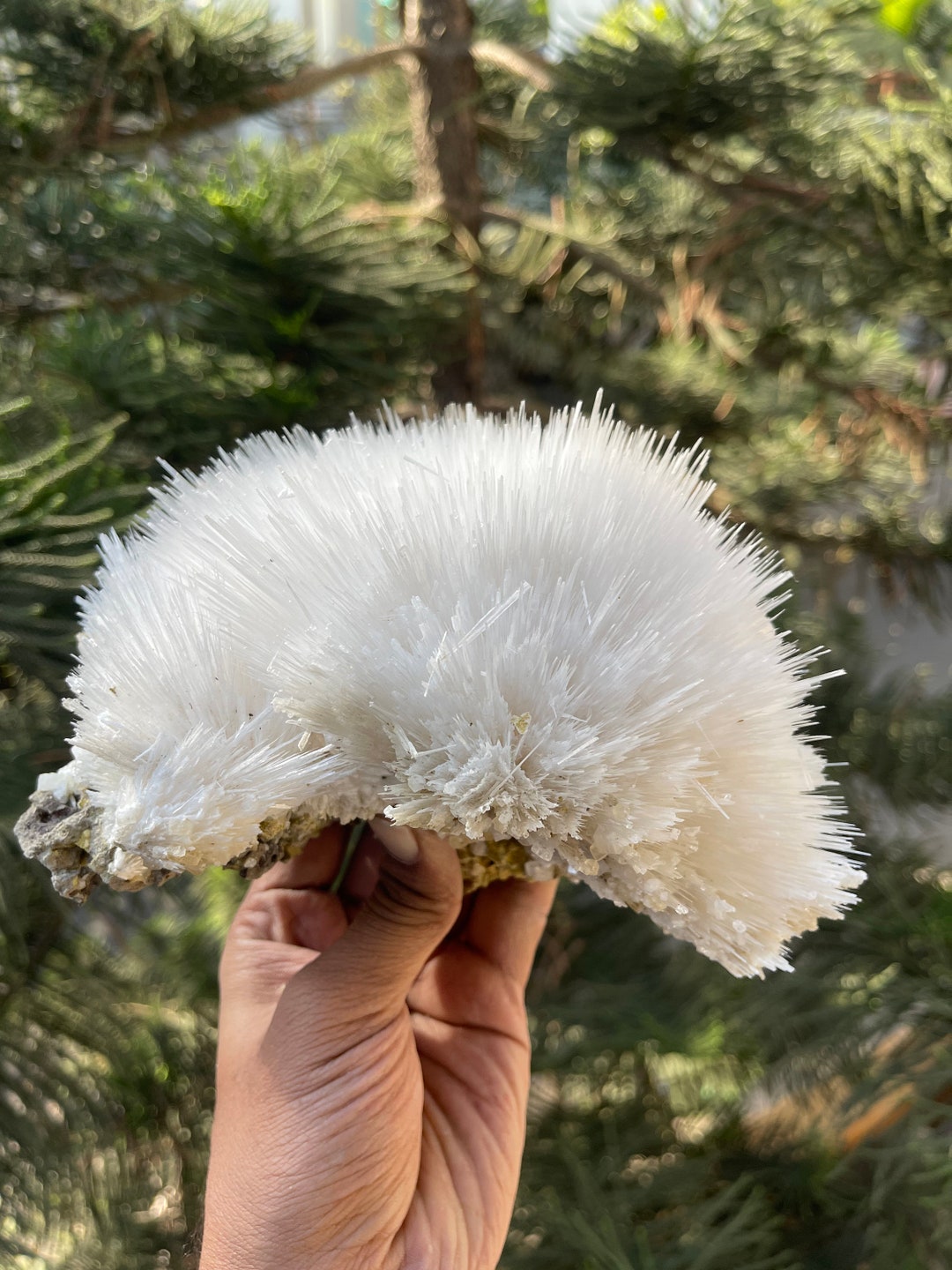 Perfect Mesolite Natural Mineral Specimen - Etsy