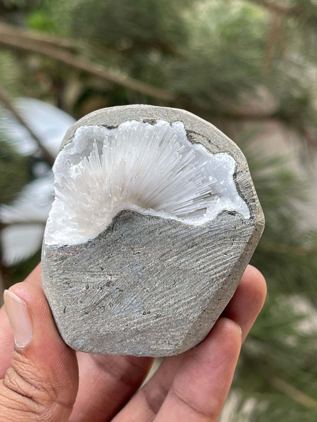 Scolecite Flower Inside Geode - Etsy