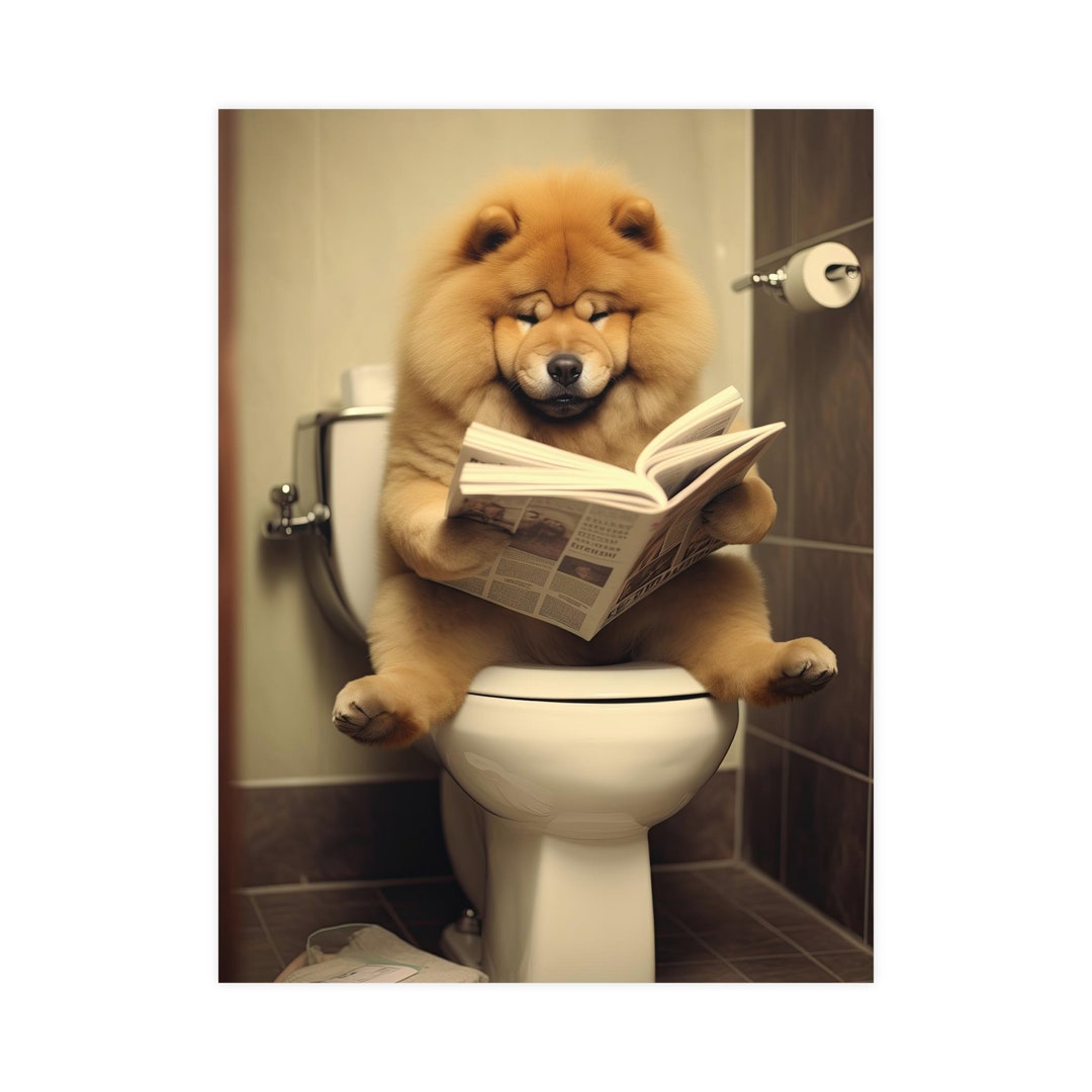 Chow Chow Dog Reading Newspaper on Toilet, Cute, Funny, Wall Poster ...