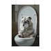 English Bulldog, Texting on Toilet, Funny, Cute, Wall Poster, Wall ...