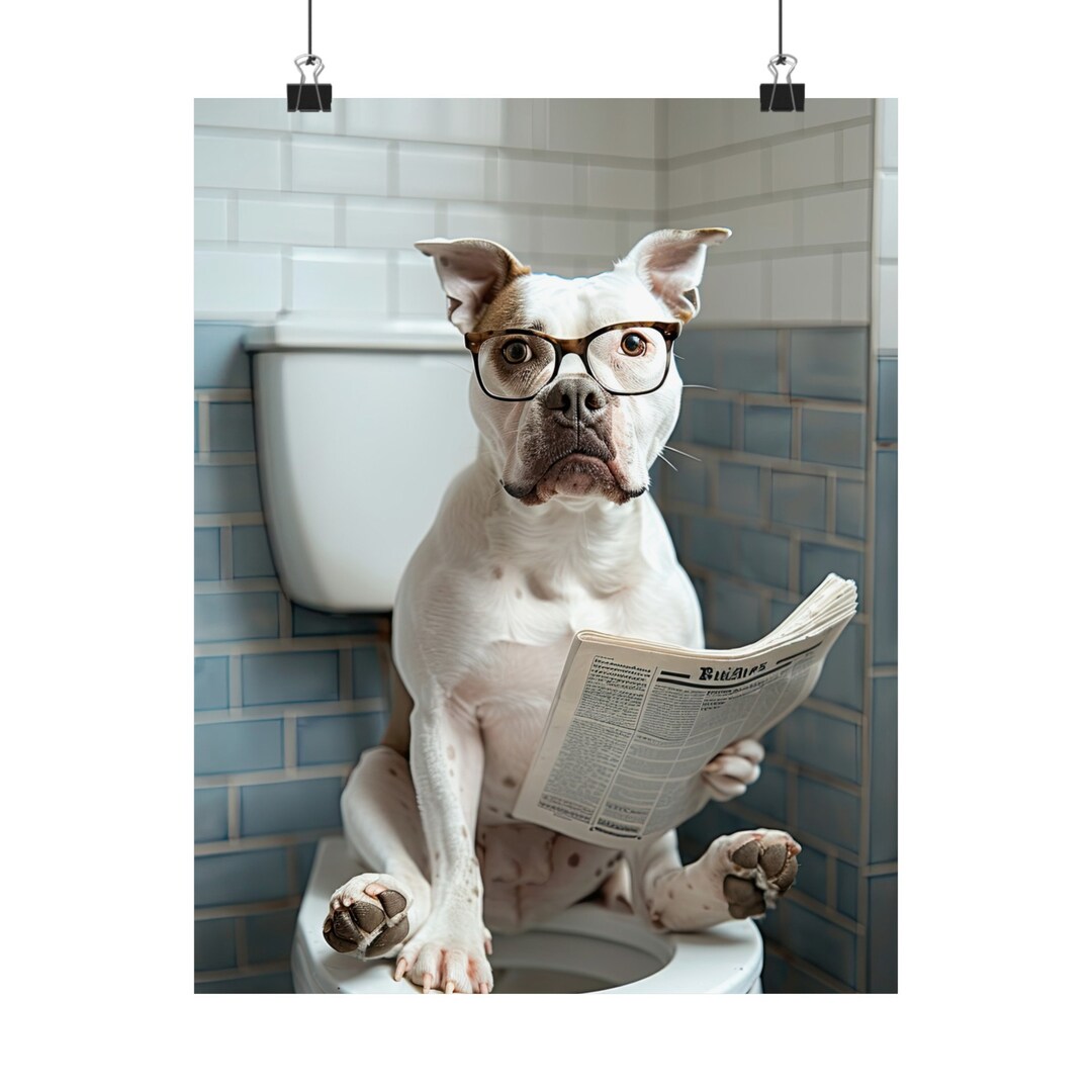 Pitbull, Dog, Reading Newspaper on Toilet, Funny, Cute, Wall Poster ...