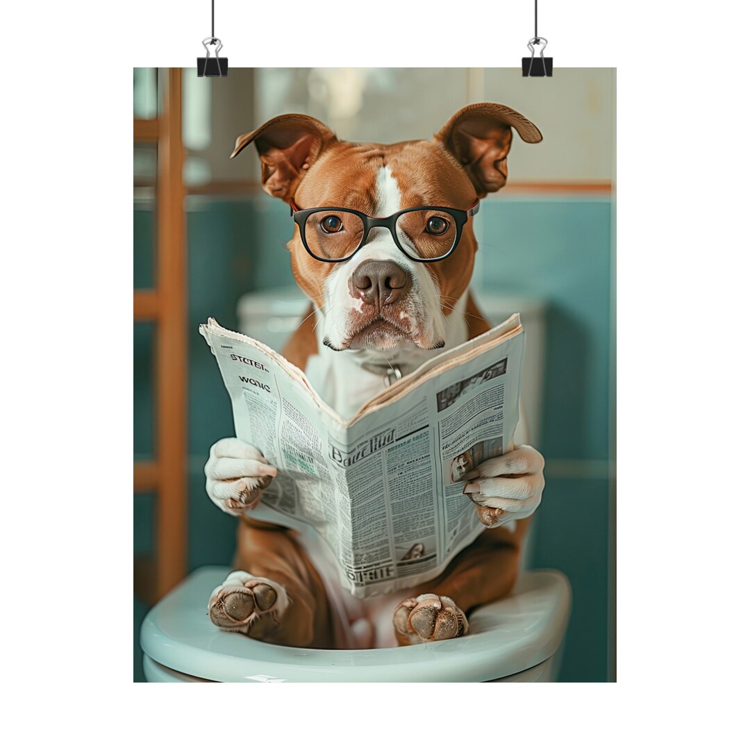Pitbull, Dog, Reading Newspaper on Toilet, Funny, Cute, Wall Poster ...