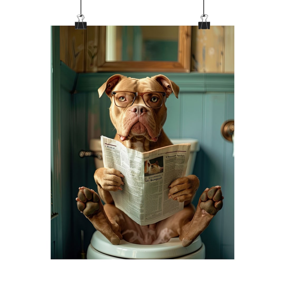 Pitbull, Dog, Reading Newspaper on Toilet, Funny, Cute, Wall Poster ...