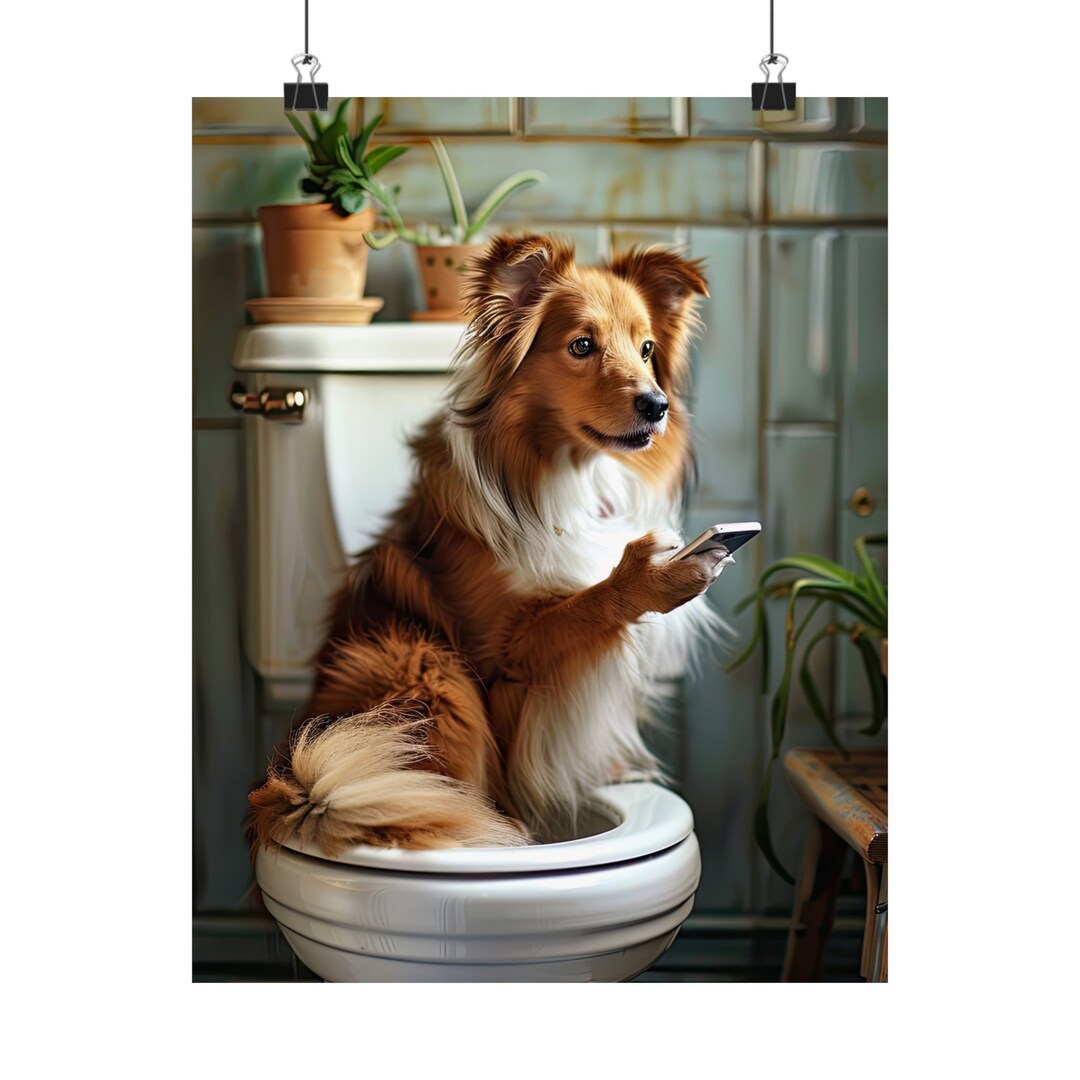 Collie, Dog, Reading Phone on Toilet, Funny, Cute, Wall Poster, Wall ...