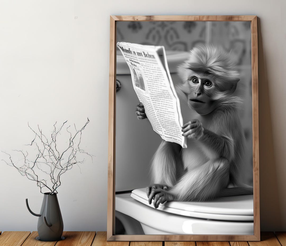 Snub Nosed Monkey, Reading, Newspaper, Wall Decor, Toilet, Funny ...
