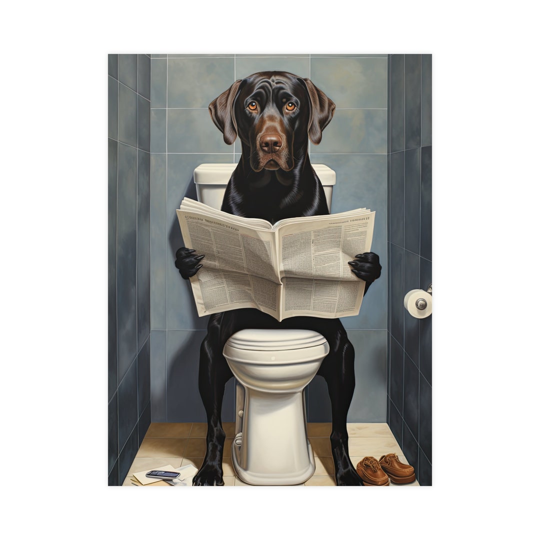 Labrador, Reading Newspaper, Toilet, Dogs, Bathroom, Cute, Funny, Wall ...