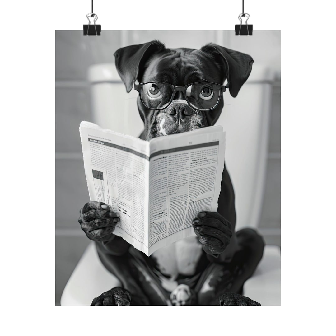Boxer, Dog, Reading Newspaper on Toilet, Funny, Cute, Wall Poster, Wall ...