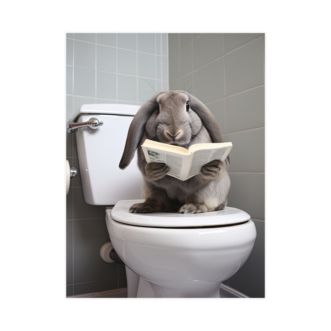 Lop Eared Grey Rabbit, Reading Newspaper, Bathroom, Cute, Funny, Wall ...