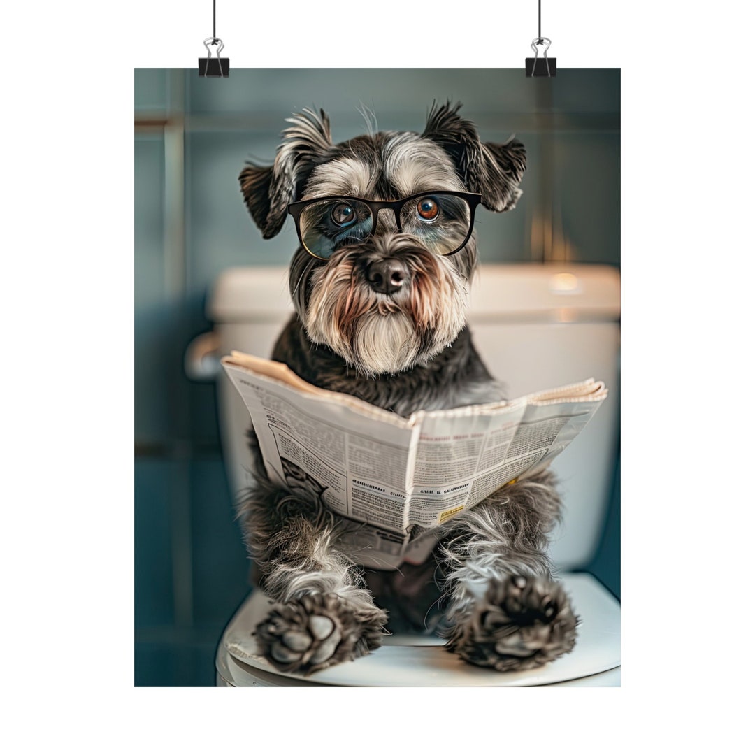 Schnauzer, Dog, Reading Newspaper on Toilet, Funny, Cute, Wall Poster ...