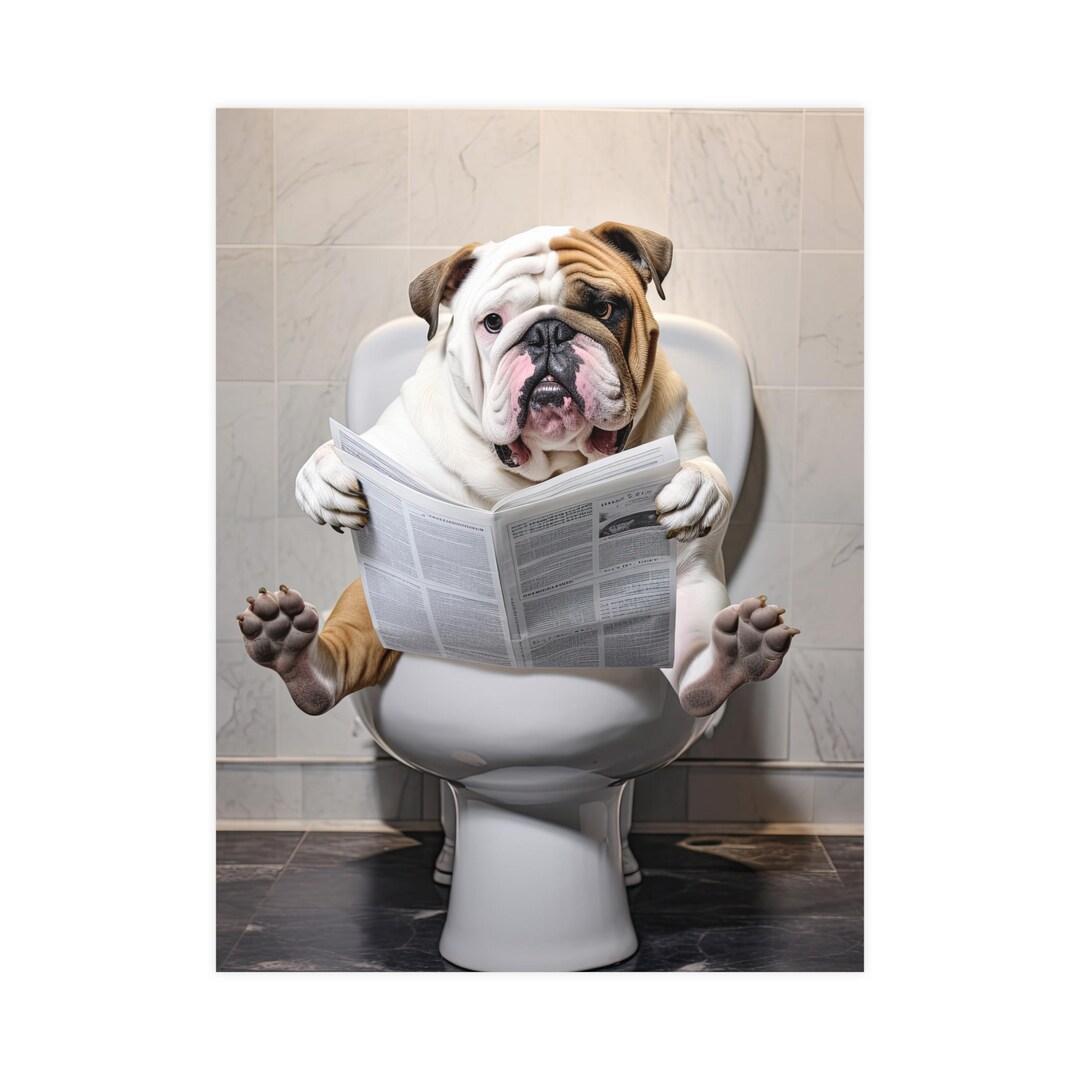 English Bulldog Reading Newspaper on Toilet, Cute, Funny, Wall Poster ...