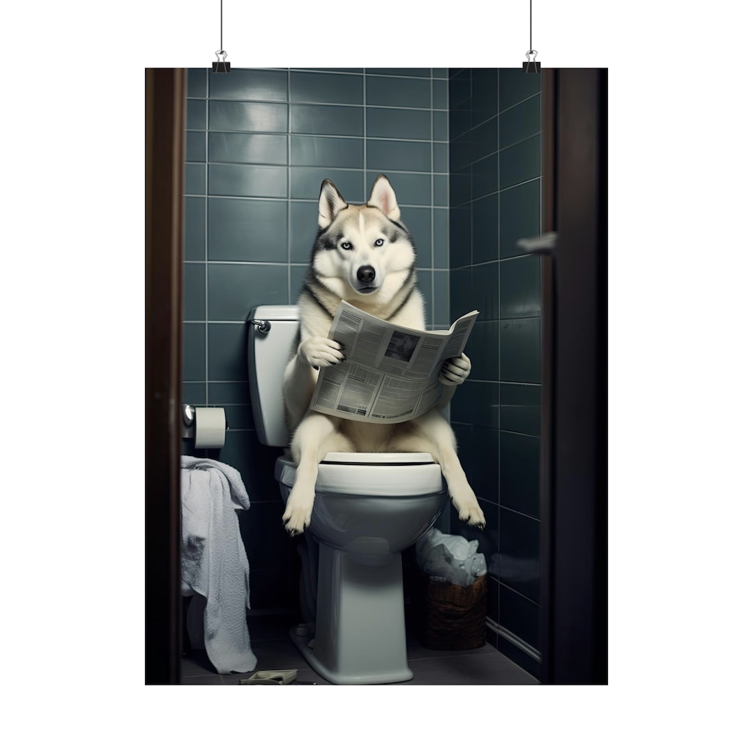 Siberian Husky, Reading Newspaper on Toilet, Funny, Cute, Wall Poster ...