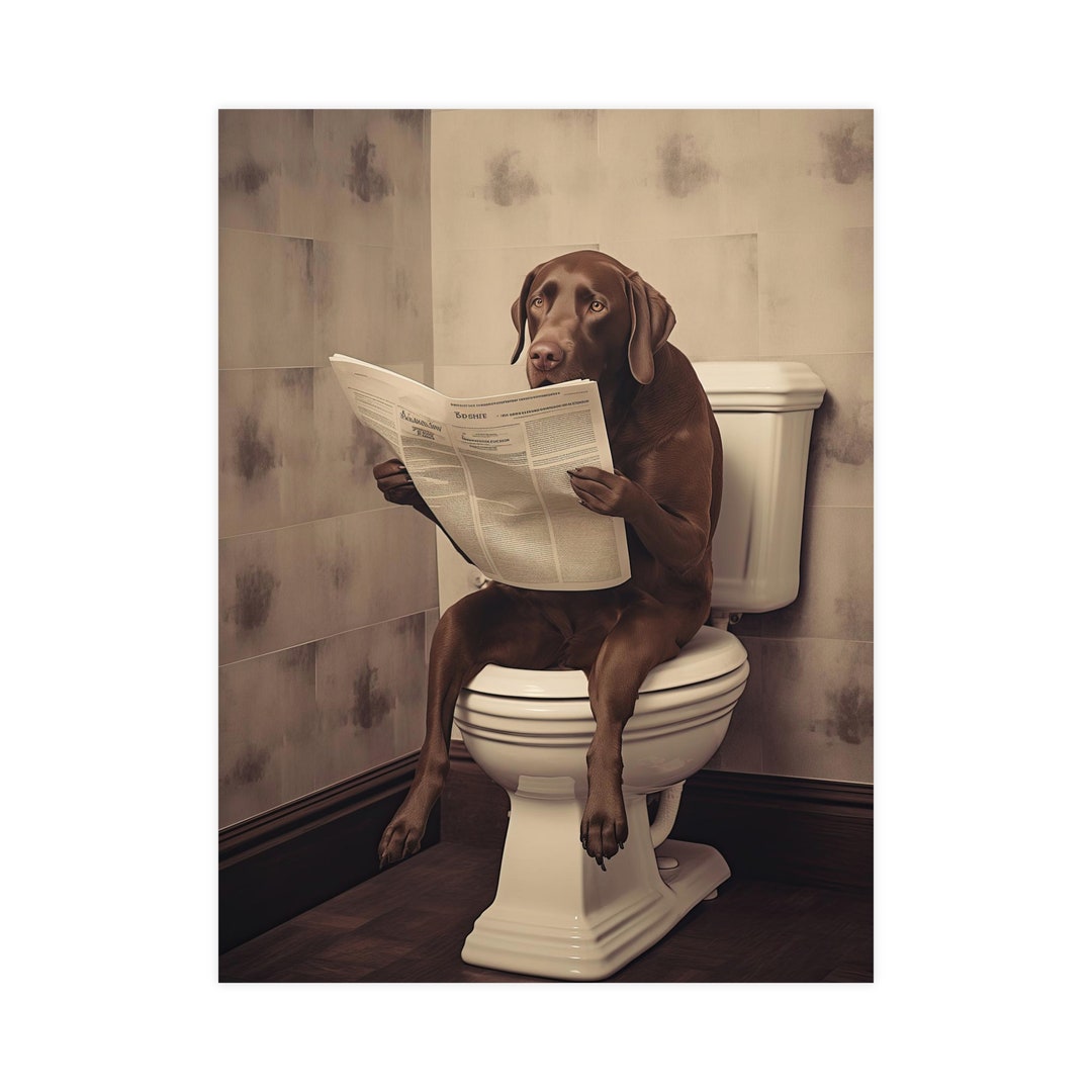 Labrador on Toilet, Reading Newspaper, Bathroom, Cute, Funny, Wall ...