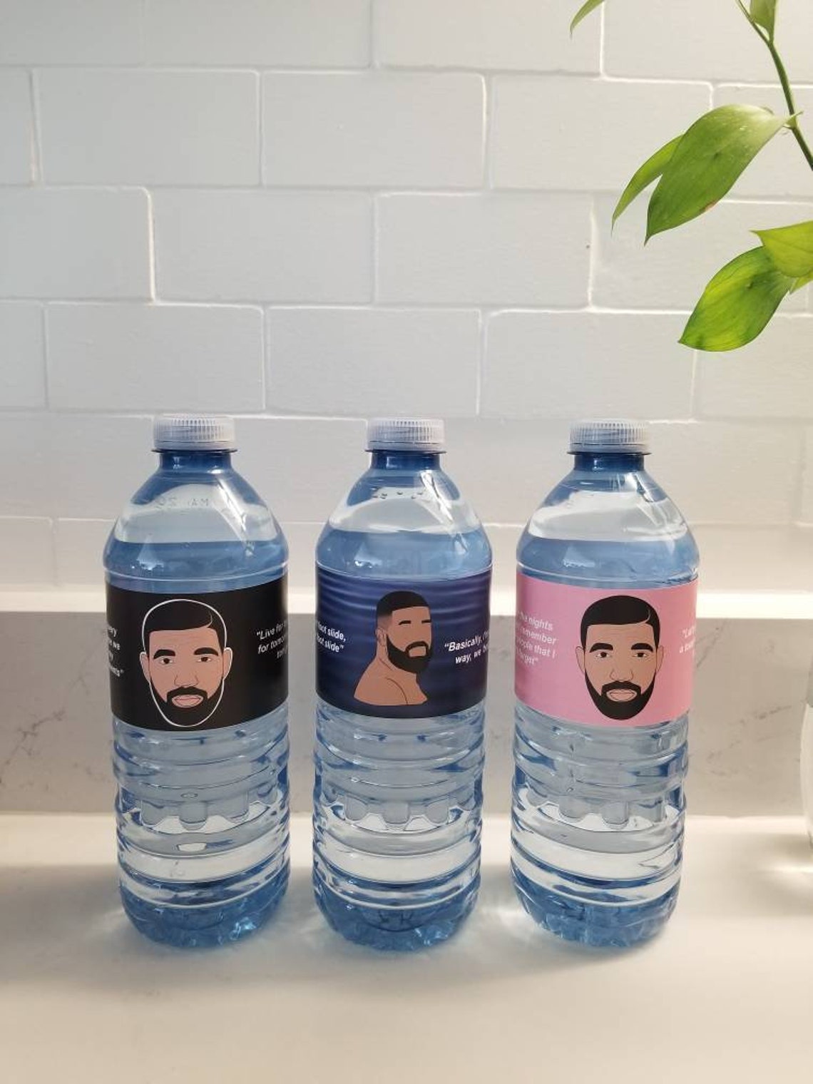 PRINTABLE Drake Water Bottle Labels Drake Party Props - Etsy