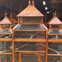 Custom Large Parakeet Cage, 3 Roofed, Flight Cage - Etsy