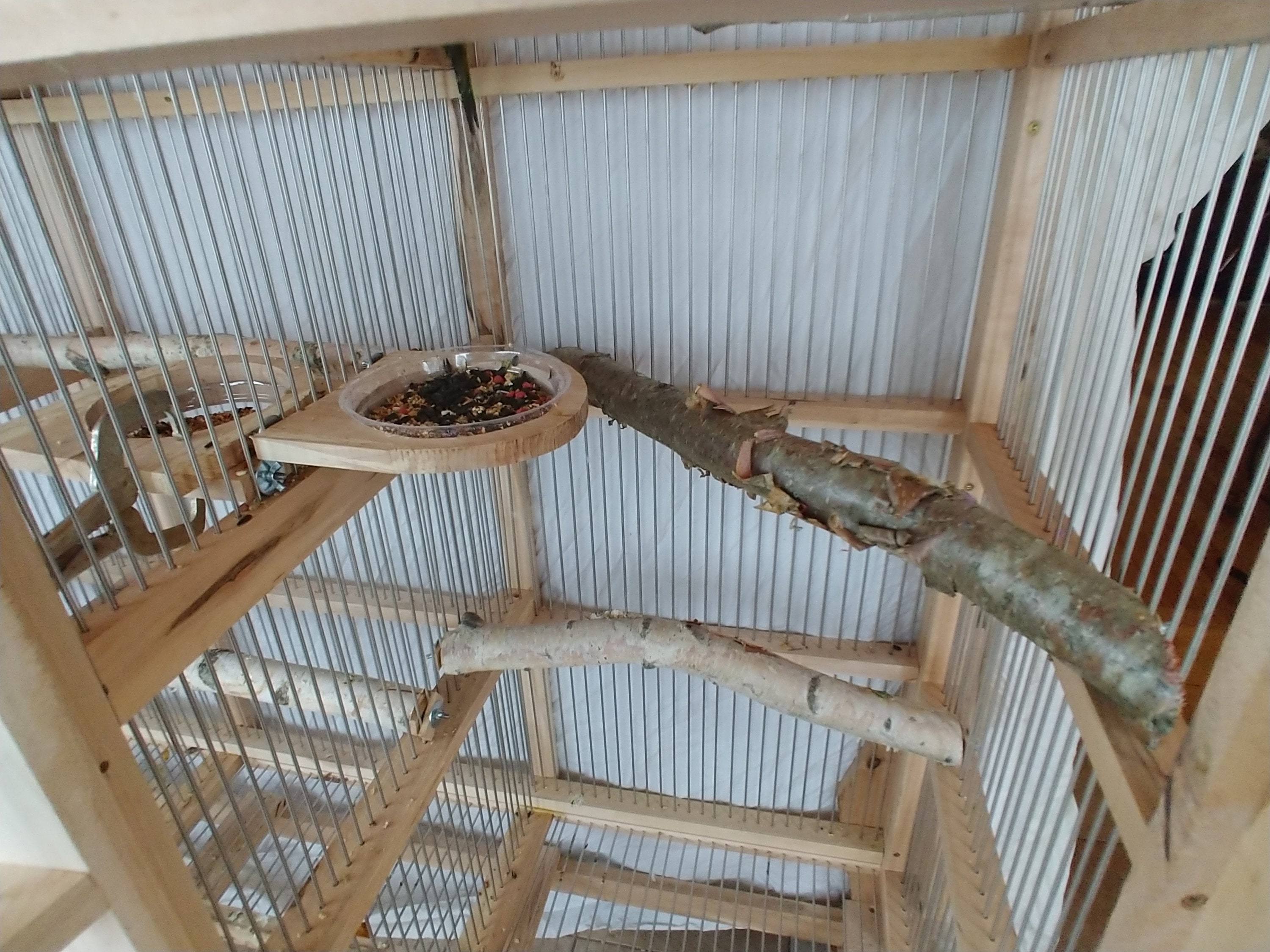 Handmade Parakeet/finch Cage Hardwood and Stainless Bar With - Etsy