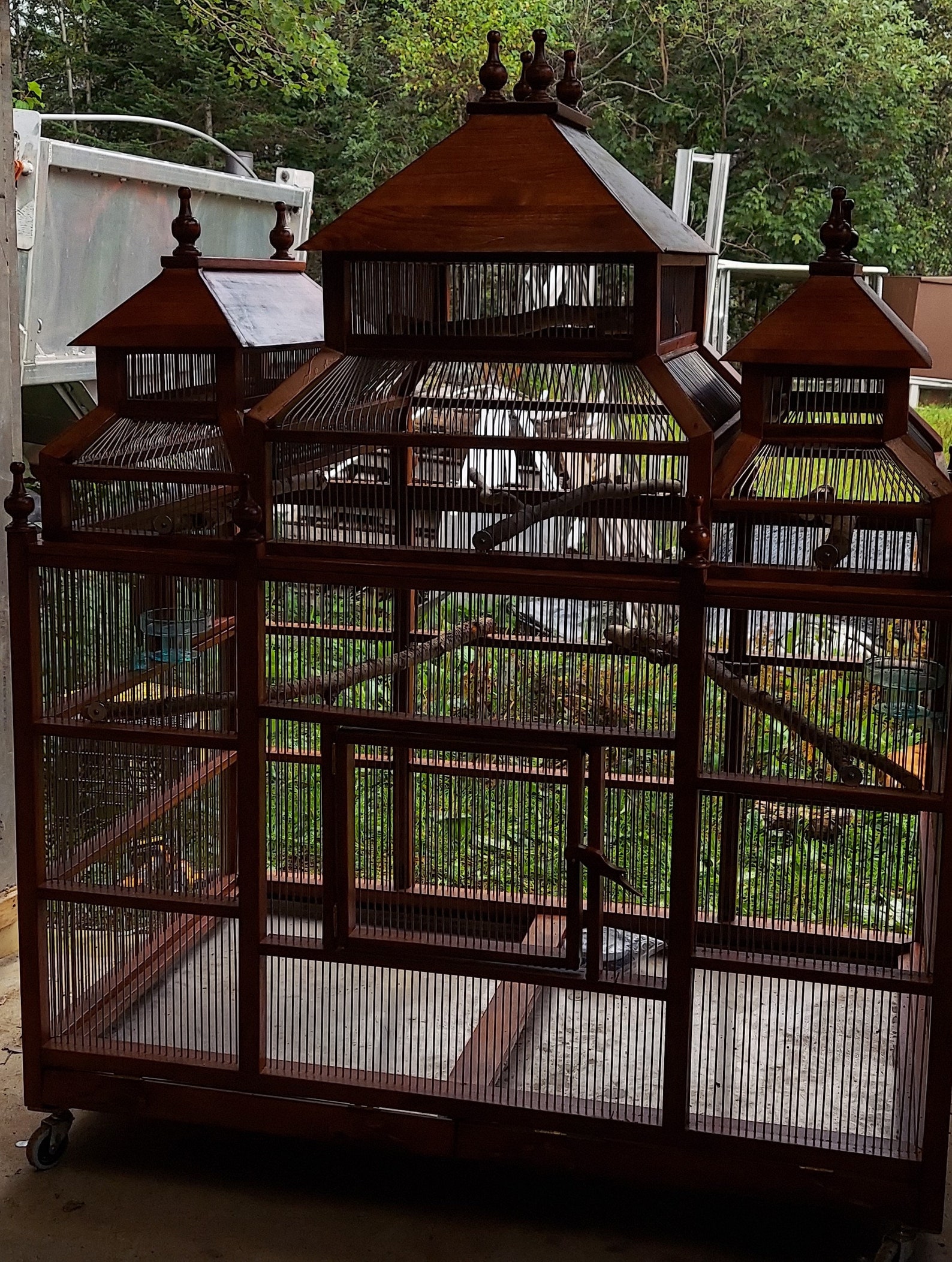 Custom Large Parakeet Cage, 3 Roofed, Flight Cage - Etsy
