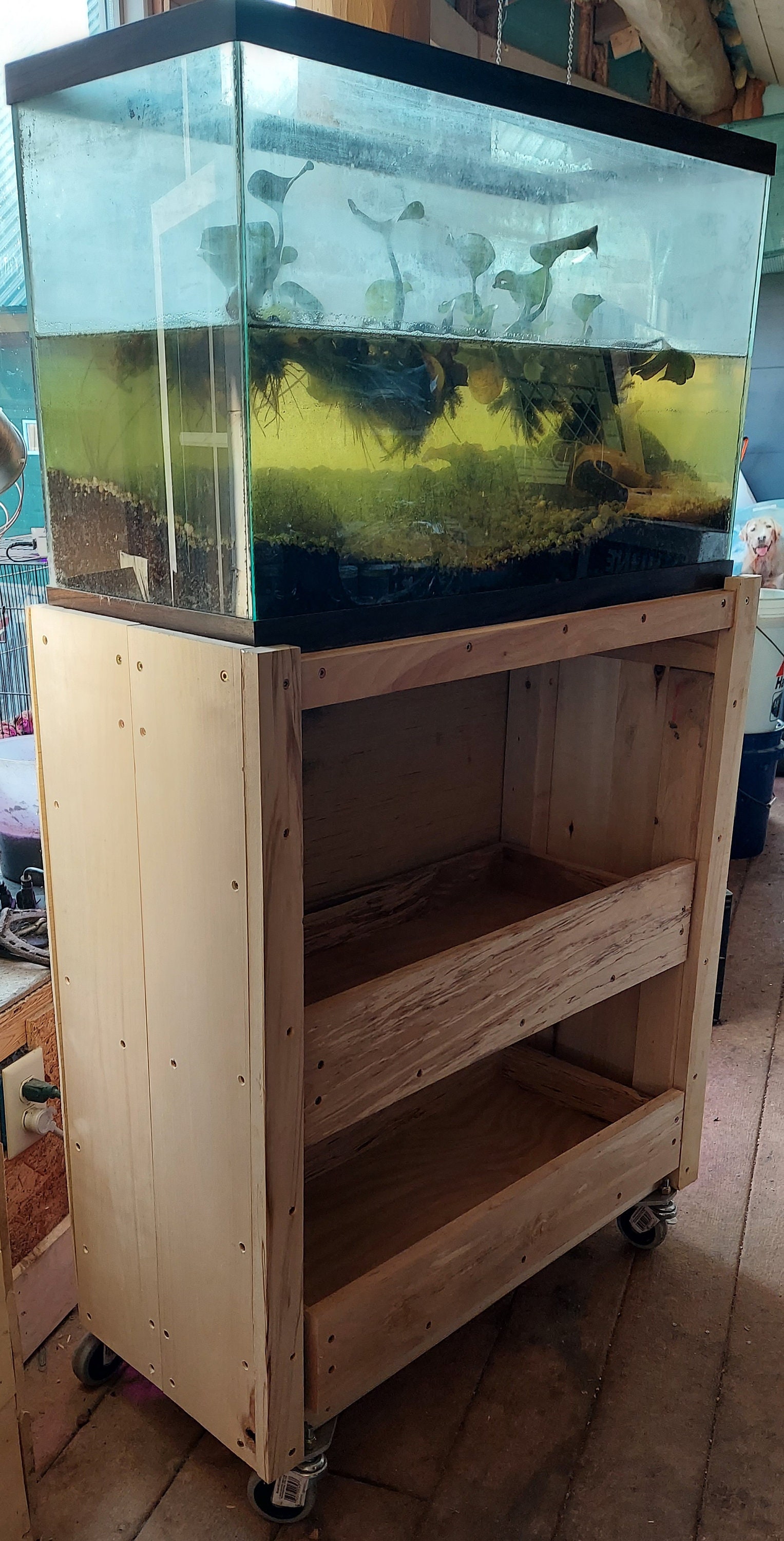 Hardwood Fish Tank Stand - Etsy
