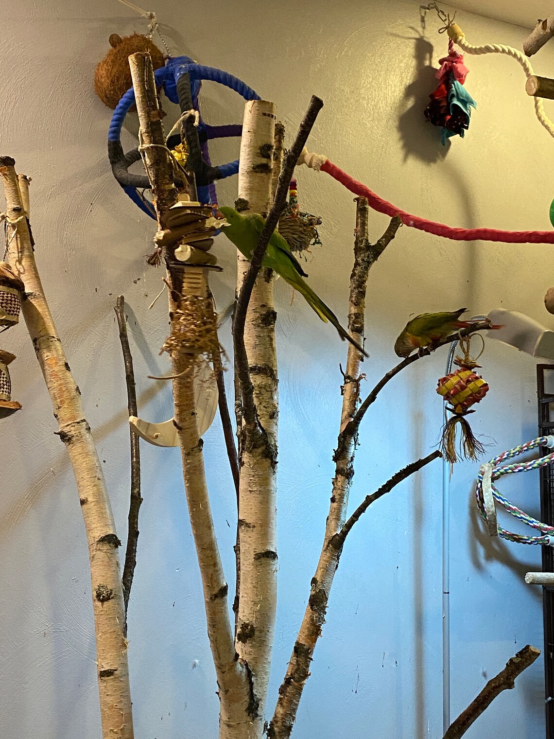 Parakeet Small Bird Tree Base Only - Etsy